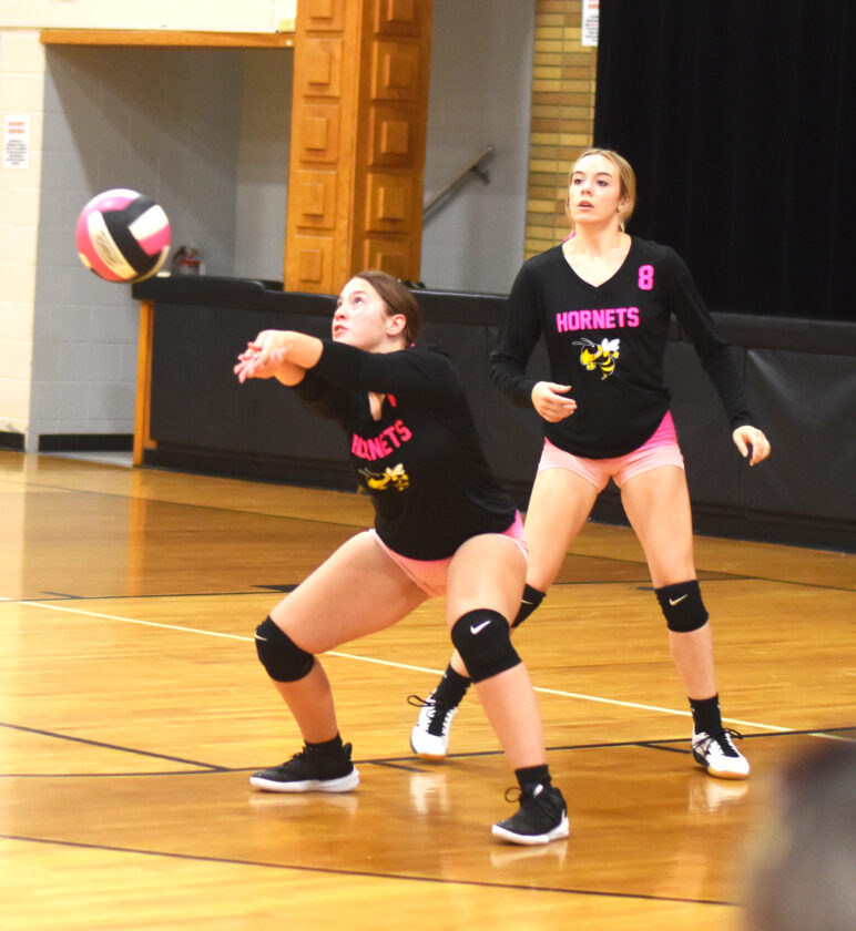 Westfield, Forestville Spike Out Cancer | News, Sports, Jobs - Post Journal